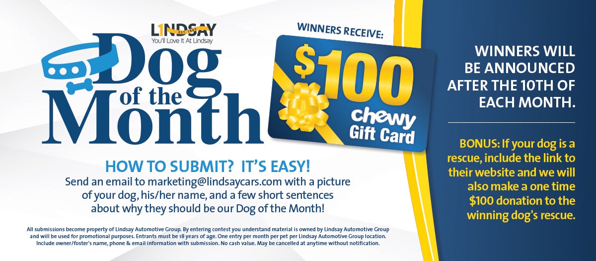 Chevrolet Dealer in WOODBRIDGE, VA | Used Cars WOODBRIDGE | Lindsay ...